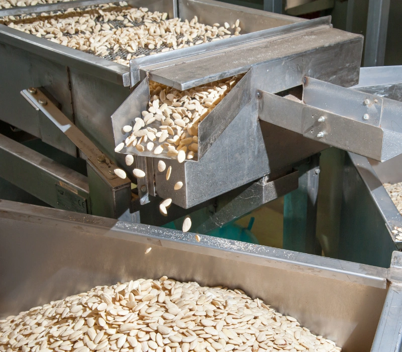 Nut Processing — Manufacturing & Trade - Tokyo Venture Capital